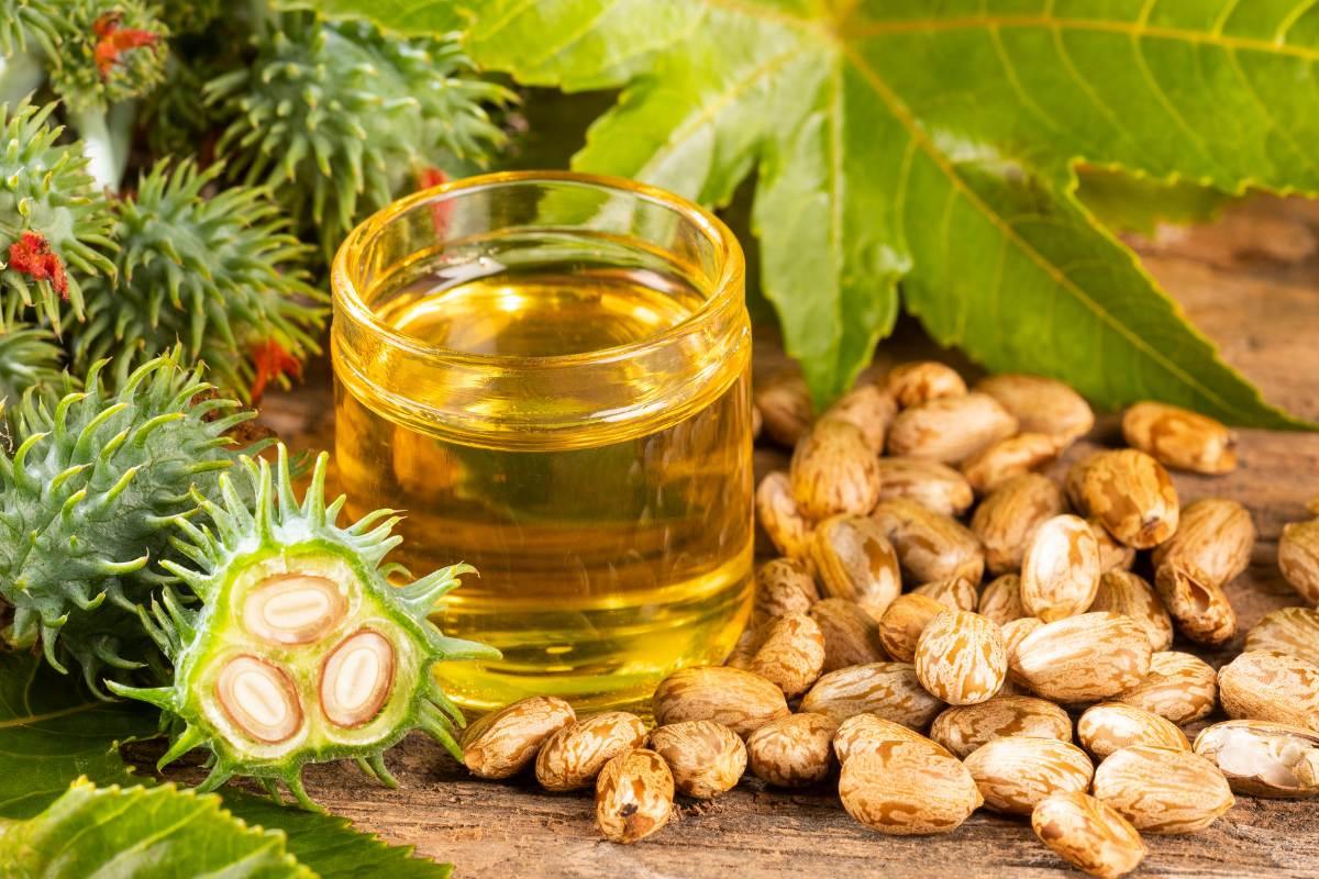 Top 8 Best Organic Castor Oils In 2024